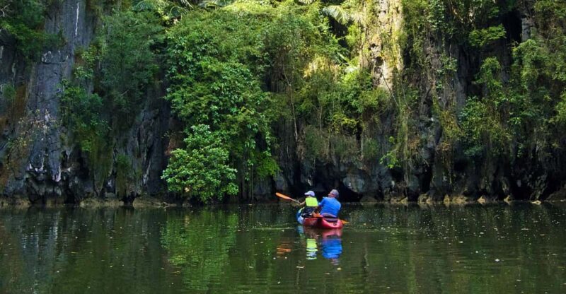 Krabi: Kayak Adventure through Ao Thalane Mangrove Forest - The Logistics: Comfort and Convenience