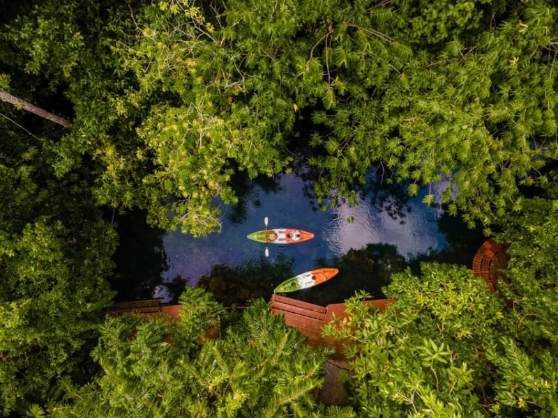 Krabi: Kayak Adventure through Ao Thalane Mangrove Forest - The Experience: Pros and Cons