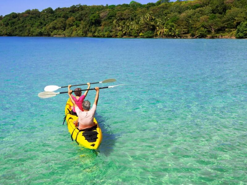 Krabi: Kayak Adventure through Ao Thalane Mangrove Forest - Who Is This Tour Best For?