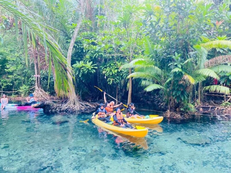 Krabi kayaking and swimming clongrood Tour - Why This Tour Represents Good Value