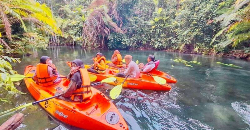 Krabi kayaking and swimming clongrood Tour - Final Thoughts: Who Should Sign Up?