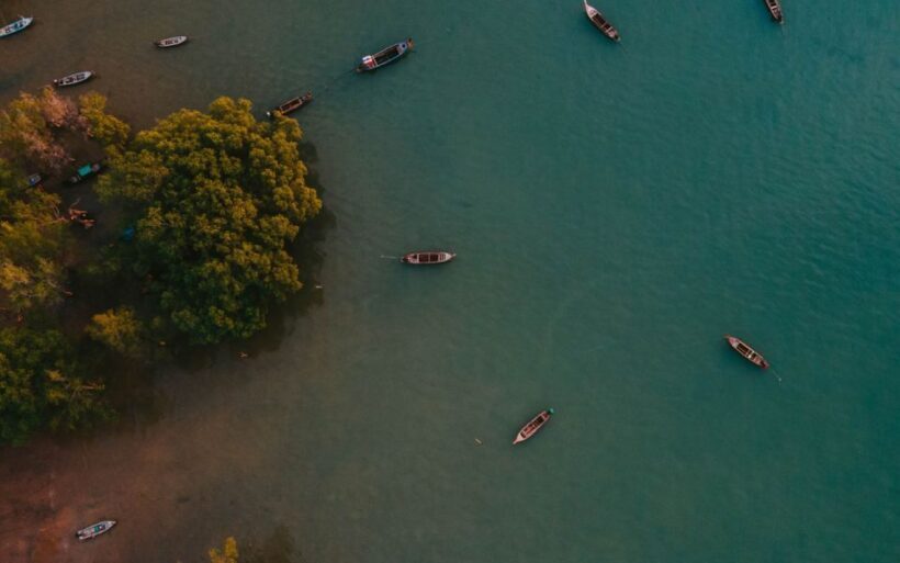 Krabi: Kayaking Ao Thalane and Khaothong Hill Café - An In-Depth Look at Your Krabi Day