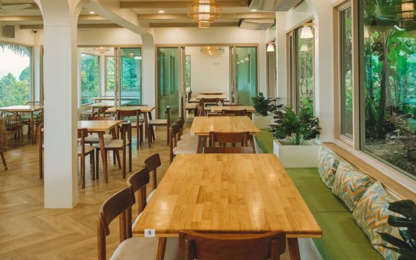 Krabi: Kayaking Ao Thalane and Khaothong Hill Café - Who Should Consider This Tour?