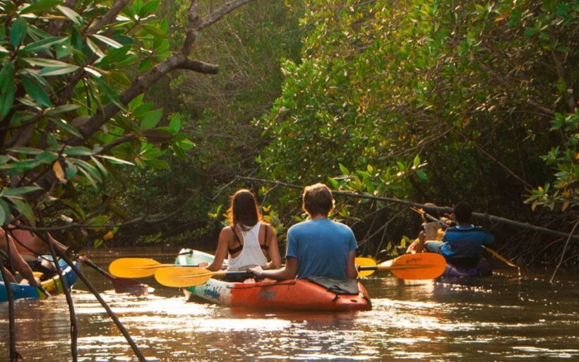 Krabi: Kayaking Ao Thalane and Khaothong Hill Café - The Sum Up