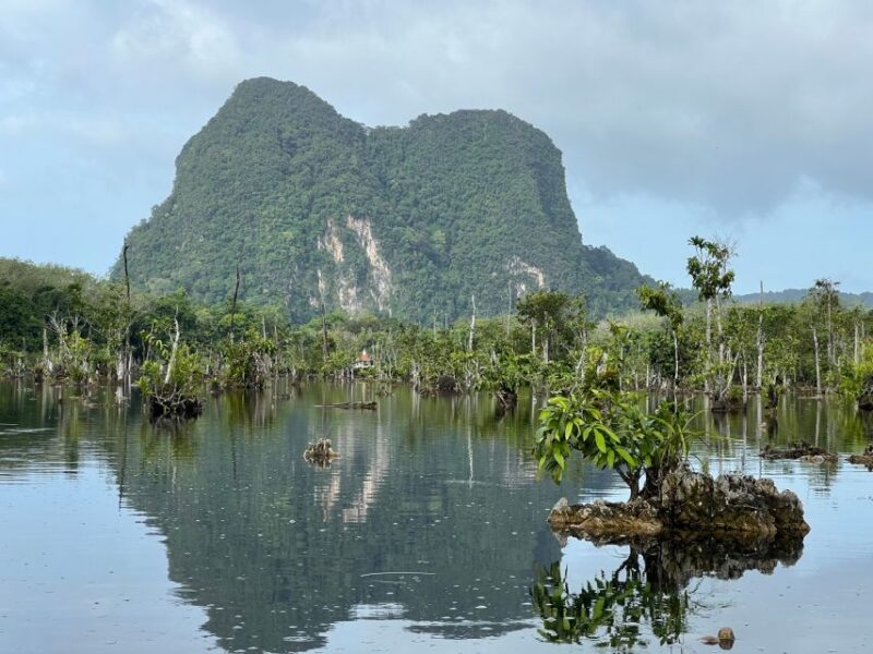 Krabi: Kayaking at Klong Nam Sai, Elephant Bathing & Feeding - Krabi: Kayaking at Klong Nam Sai, Elephant Bathing & Feeding — A Practical Guide