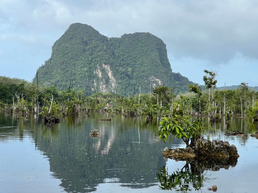 Krabi: Kayaking at Klong Nam Sai, Elephant Bathing & Feeding - The Experience: What Travelers Are Saying