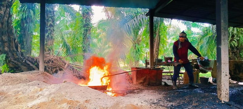 Krabi: Kayaking, Bat Cave, and Hot Springs Day Tour - Key Points