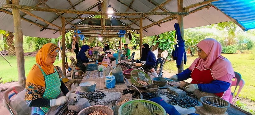 Krabi: Kayaking, Bat Cave, and Hot Springs Day Tour - What’s included and what’s not?