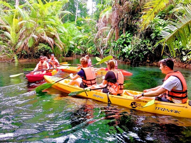 Krabi: Kayaking, Crystal Lagoon, and Fish Spa in Klong Root - Who Should Consider This Tour?