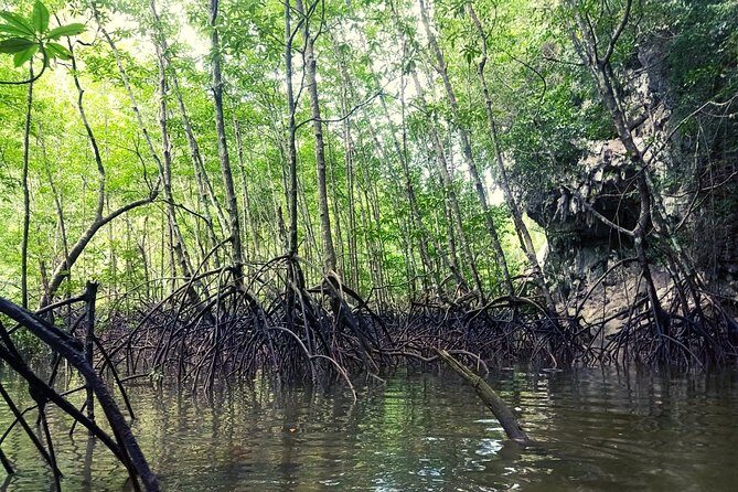 Krabi: Kayaking Tour at Ban Bor Thor Ancient Cave & Mangroves - Final Thoughts