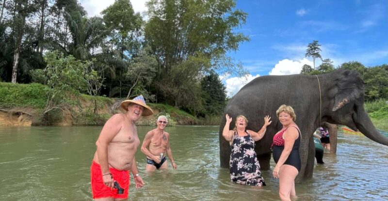 Krabi: Khao Sok Elephant Rescue Center & Bamboo Raft Paddle - Who Will Love This Tour?