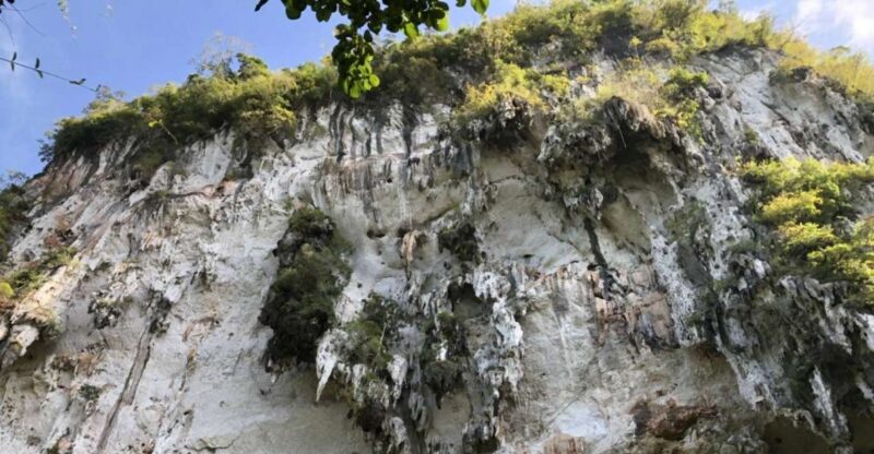 Krabi: Khaosok Jungle Walk, Bamboo Rafting, or Canoeing Tour - The Verdict: Is It Worth It?