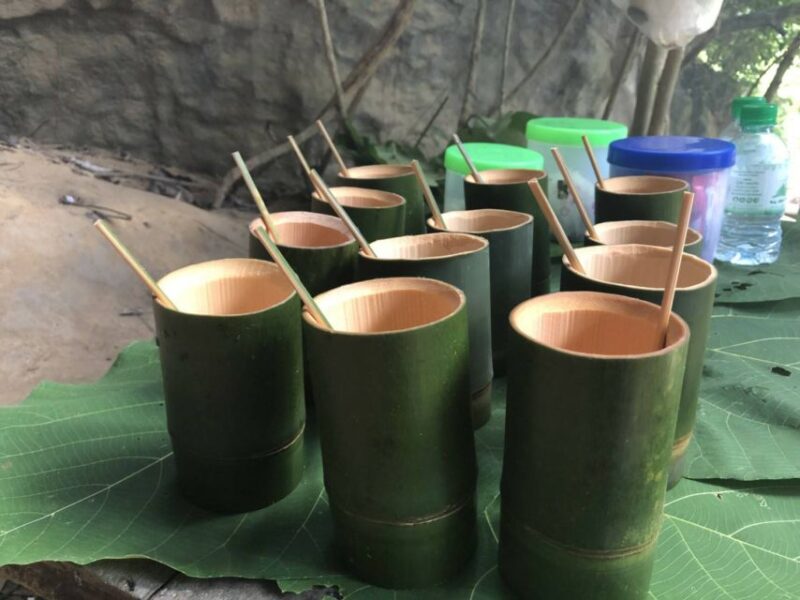 Krabi: Khaosok Jungle Walk, Bamboo Rafting, or Canoeing Tour - Final Thoughts