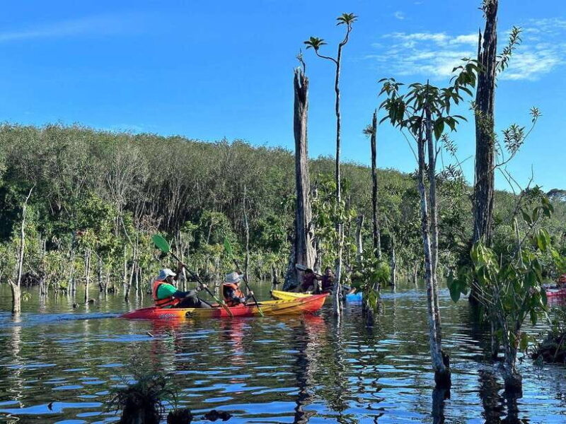 Krabi: Klong Root (Crystal lake) Kayaking tour - An In-Depth Look at the Klong Root Kayaking Experience