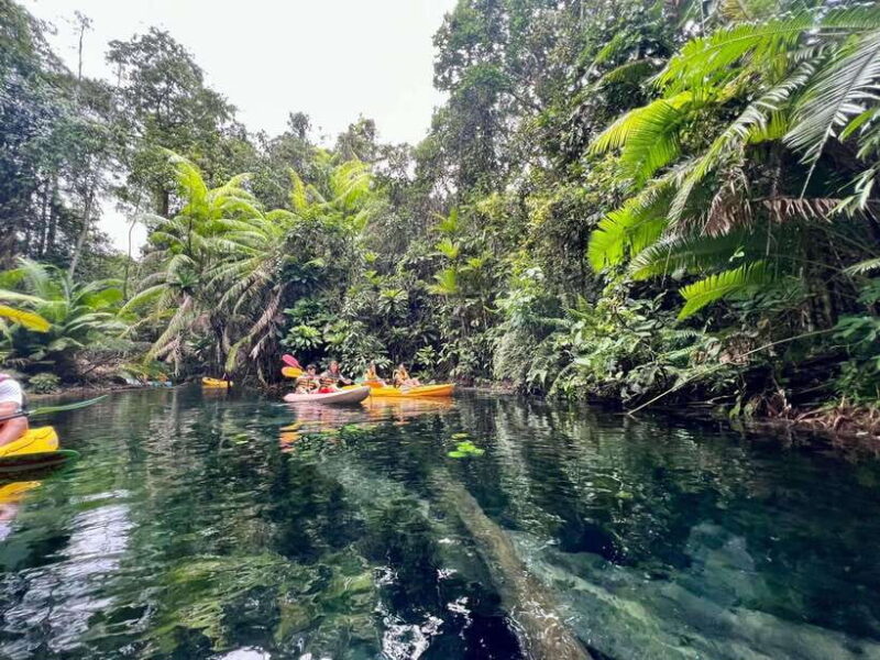 Krabi: Klong Root (Crystal lake) Kayaking tour - Final Thoughts