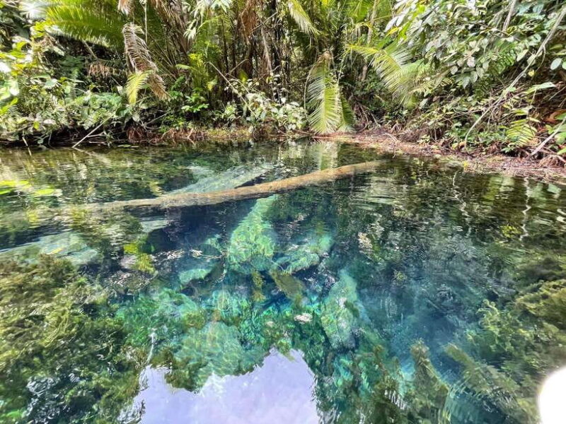 Krabi: Klong Root (Crystal lake) Kayaking tour - FAQ