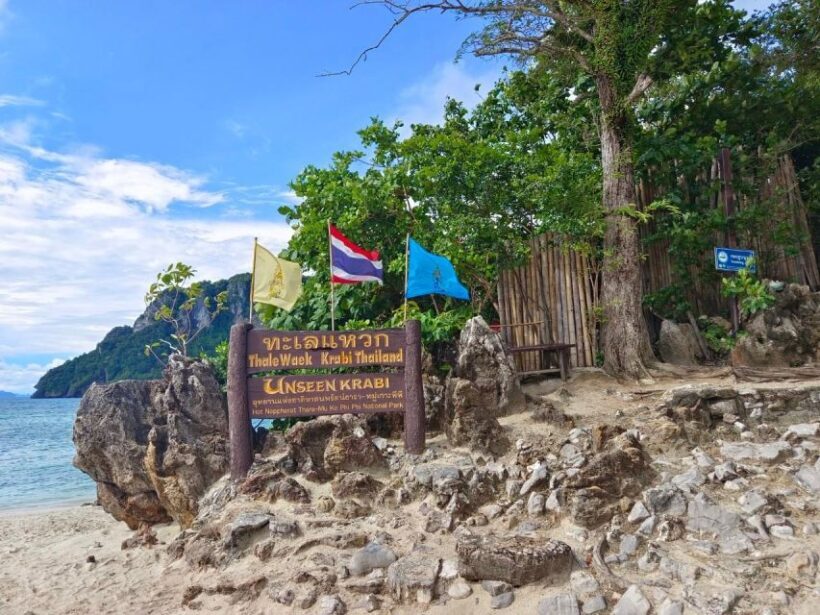 Krabi: Luxury Boat 7 Island Sunset With BBQ & Plankton Tour - Final Thoughts
