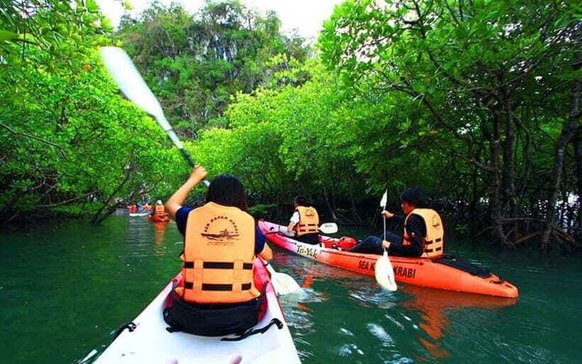 Krabi: Mangrove Kayak Adventure in Boh Tor, Ao Luek - The Experience in Detail