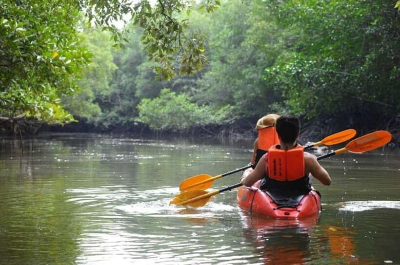Krabi: Mangrove Kayak Adventure in Boh Tor, Ao Luek - Breaking Down the Itinerary