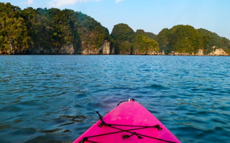 Krabi Mangrove Kayak &Elephant Shelter with Private Transfer - The Practicalities: What’s Included and What’s Not