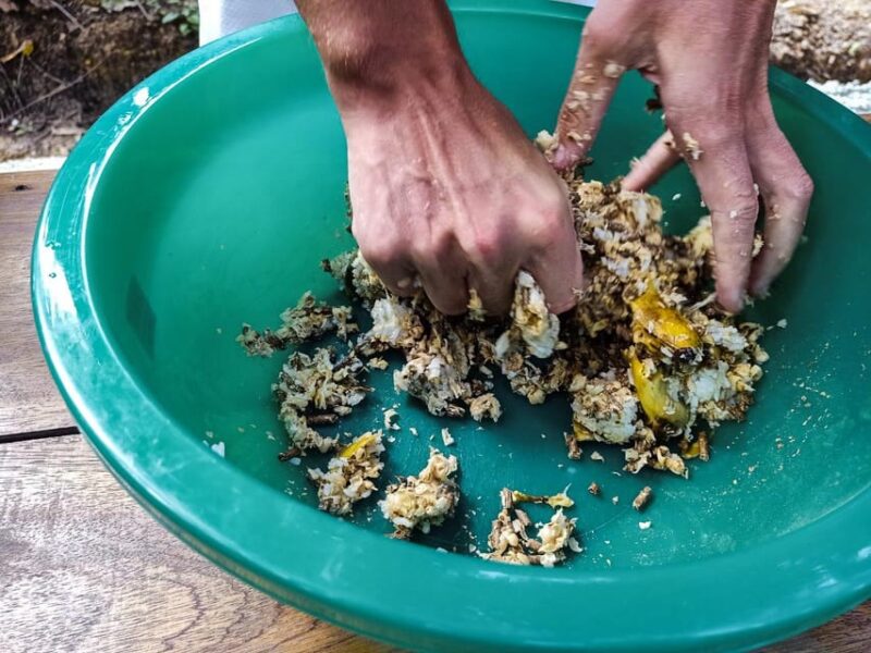 Krabi Mangrove Kayak &Elephant Shelter with Private Transfer - Final Thoughts: Is It Worth It?