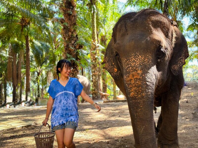 Krabi Mangrove Kayak &Elephant Shelter with Private Transfer - FAQ: Quick Answers to Common Questions