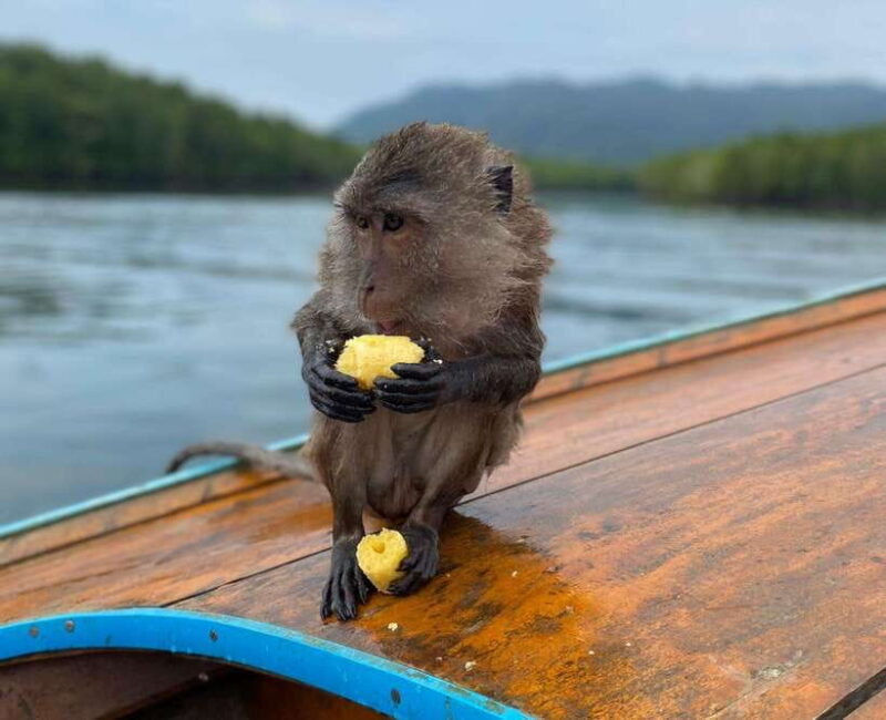 Krabi: Mangroves and Khao Kanab Nam Cave Tour with Lunch - Transportation, Duration, and Overall Value