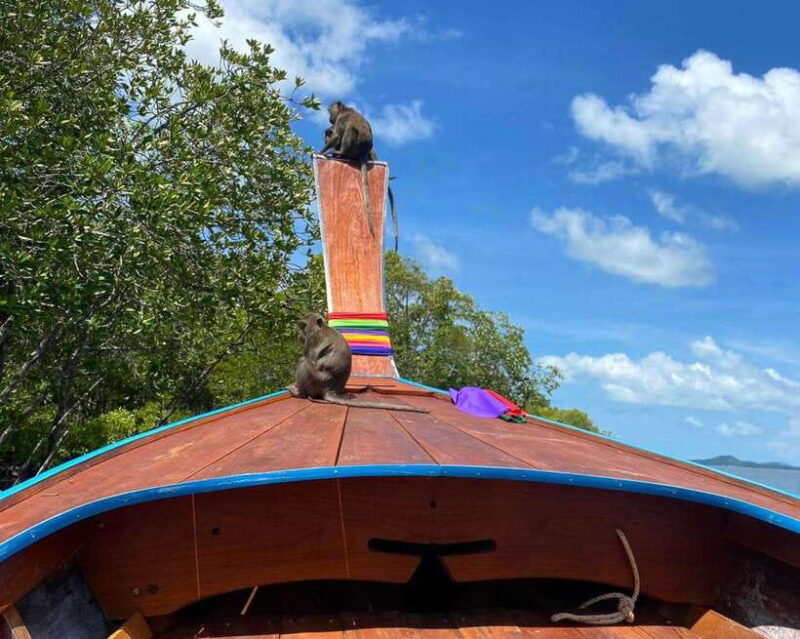 Krabi: Mangroves and Khao Kanab Nam Cave Tour with Lunch - Why Choose This Tour?