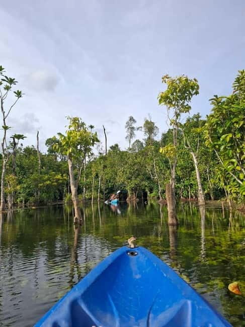 Krabi: Mirror Lake Kayaking & Swimming in Hidden Paradise - A Closer Look at the Experience