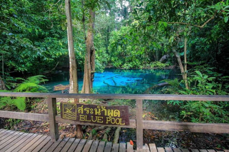 Krabi Outback Explorer to Emerald Pool & Wareerak Hotspring - Authenticity and Review Insights