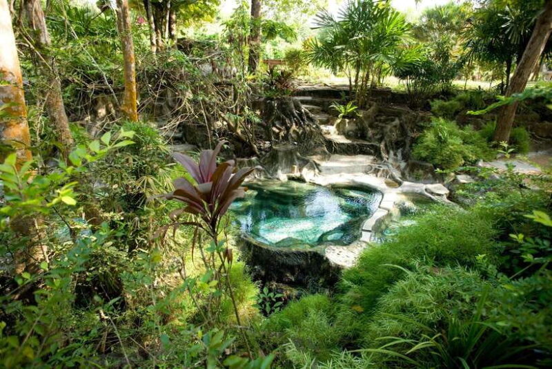 Krabi Outback Explorer to Emerald Pool & Wareerak Hotspring - Who Is This Tour Best For?