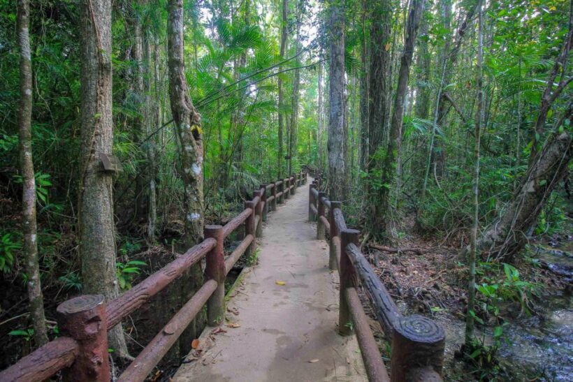 Krabi Outback Explorer with Thrilling ATV Ride - Is This Tour Worth It?