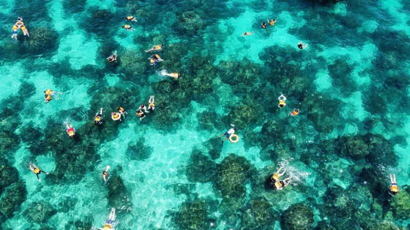 Krabi: Phi Phi and 4 Islands with Snorkeling by Speed Boat - Practical Tips for Your Trip