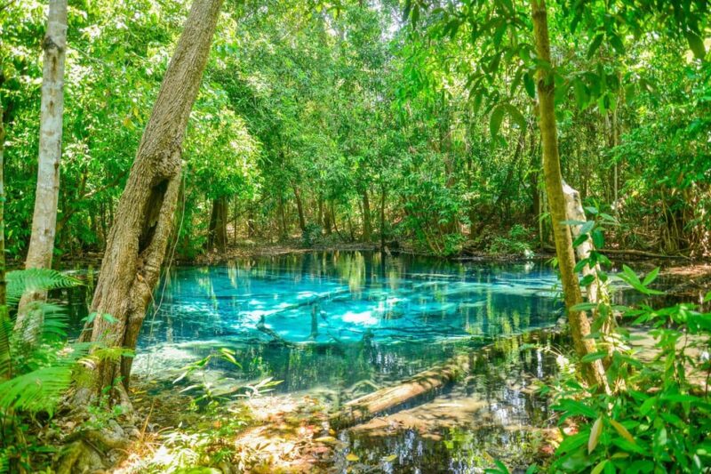 Krabi Private Escape: Emerald Pool, Hot Springs & Tiger Cave - Authentic Encounters and Hidden Tips