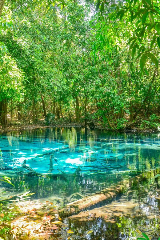 Krabi Private Escape: Emerald Pool, Hot Springs & Tiger Cave - Who Should Consider This Tour?