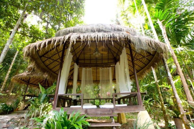 Krabi: Private Hot Spring Spa & Thai Massage Retreat - Final Thoughts: Who Will Love This?