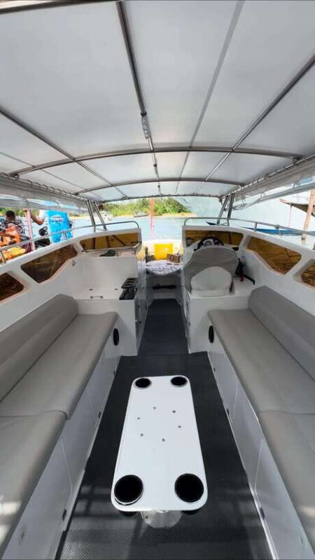 Krabi: Private Luxury Speedboat with picnic beach - Key Points