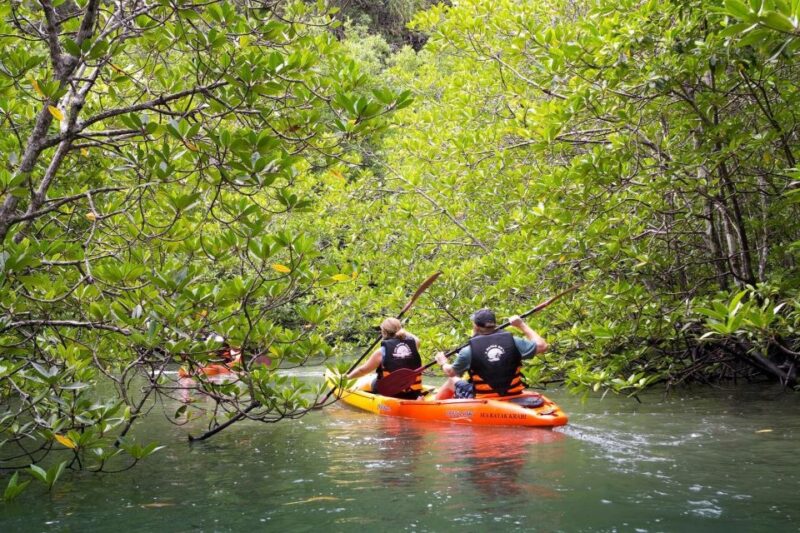 Krabi: Private Sea Kayaking in Ao Thalane and Hong Island - The Experience and Its Benefits