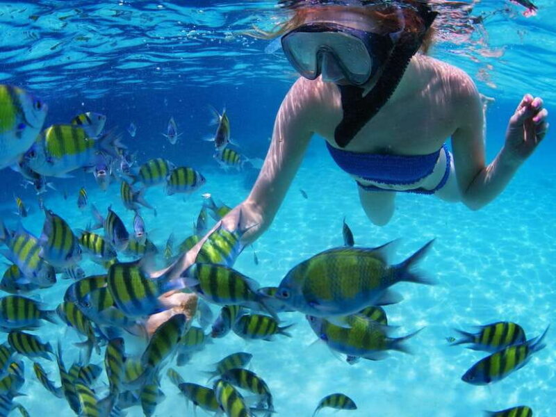 Krabi: Private Snorkeling Cruise with Bioluminescent Swim - Who Will Love This Tour?