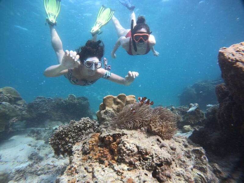 Krabi: Private Snorkeling Cruise with Bioluminescent Swim - FAQ