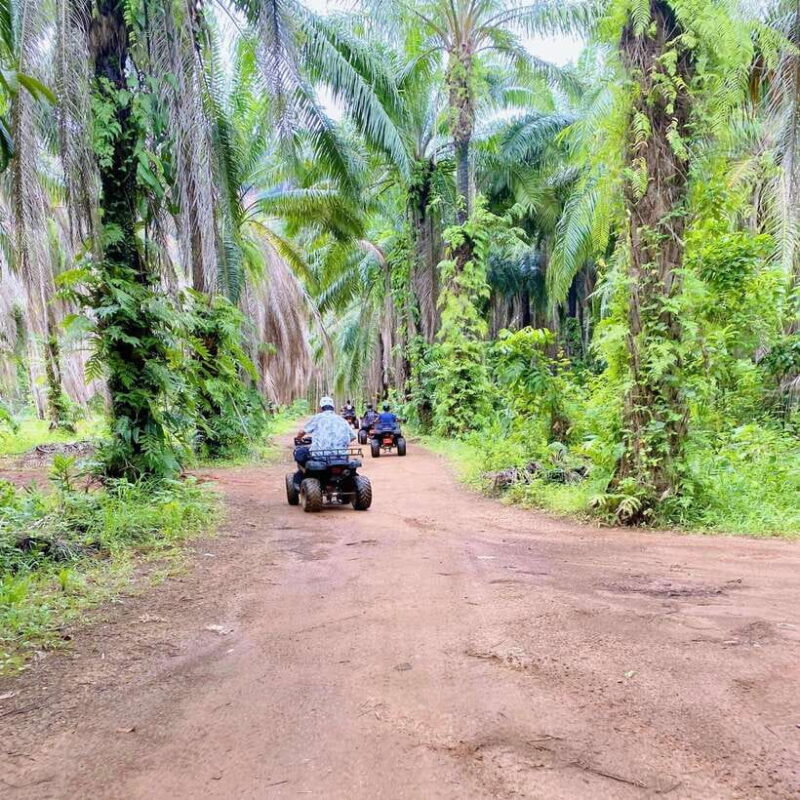 Krabi: Saitai Mountain Tail ATV Adventure - Reviews Highlighting the Experience