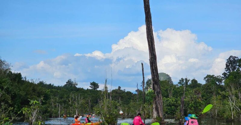 Krabi: South Kayak Klong Root Kayaking Tour - What to Expect on the Klong Root Kayaking Tour