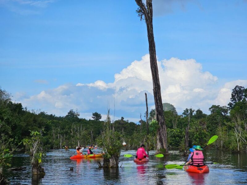 Krabi: South Kayak Klong Root Kayaking Tour - Why This Tour Is Valuable