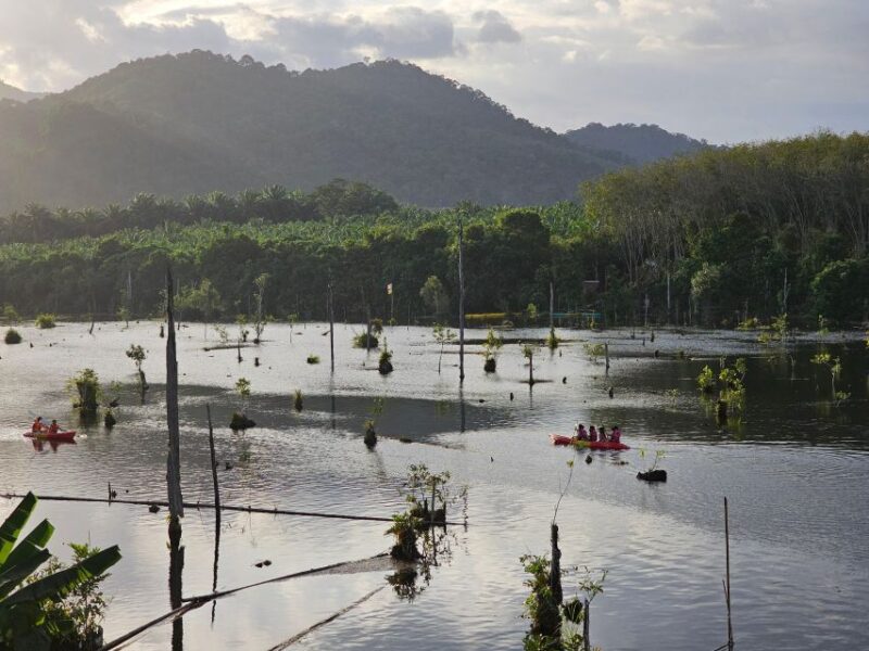 Krabi: South Kayak Klong Root Kayaking Tour - The Itinerary in Detail