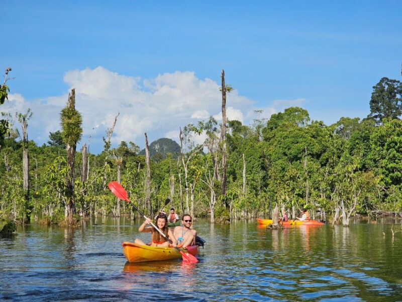 Krabi: South Kayak Klong Root Kayaking Tour - Real Traveler Feedback