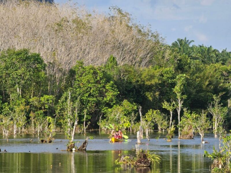 Krabi: South Kayak Klong Root Kayaking Tour - The Sum Up