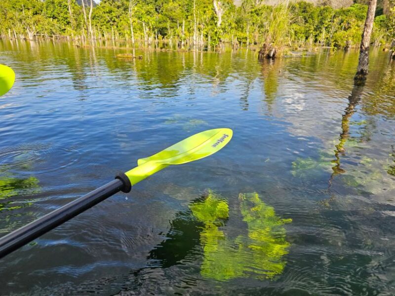 Krabi: South Kayak Klong Root Kayaking Tour - FAQs