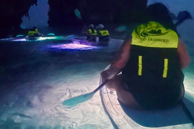 Krabi Stand-Up Paddleboard Illuminated Night Tour - A Closer Look at the Value