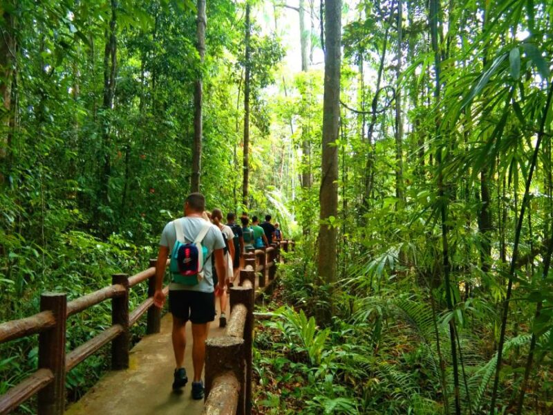 Krabi: Tiger Temple, Hot Springs & Crystal Pool Jungle Tour - Authentic Experiences and Tips