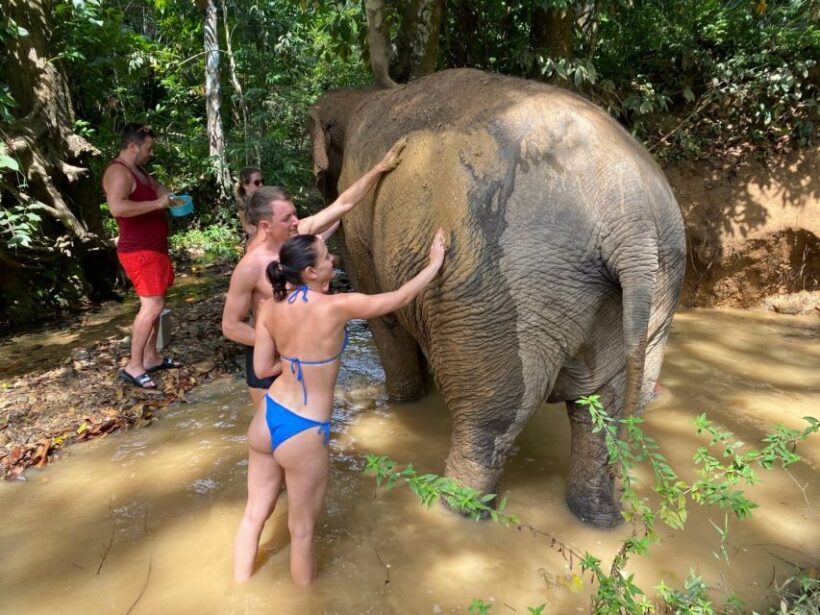 Krabi: Tour of Elephant Care House and Tiger Cave Temple - Who Is This Tour Best For?